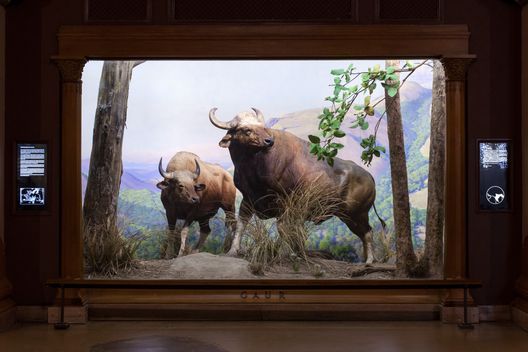 American Museum of Natural History, NYC | The Unravel