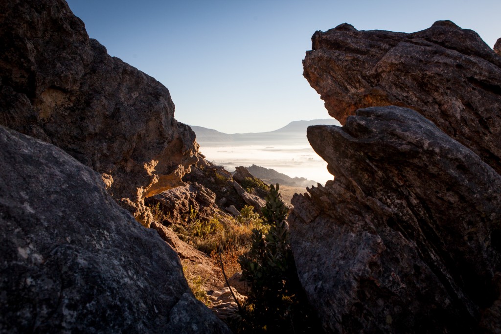 Ceres Valley, South Africa | The Unravel